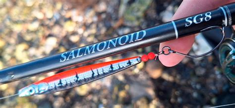 Flotte KystØrred I HumØr Til En Zerling Fisk And Fri