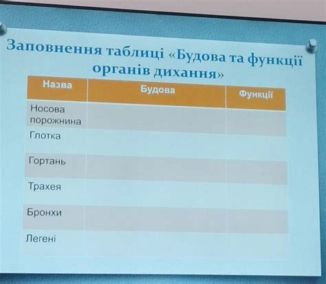 Заповнення таблиці будова та функції органів дихання Школьные Знания Com