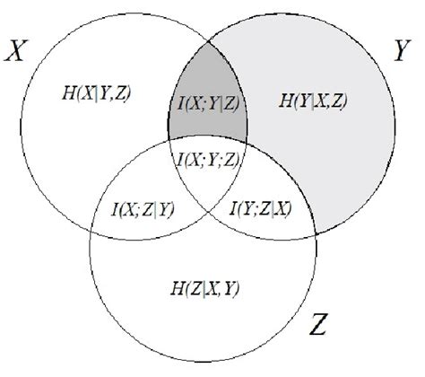 Conditional Mutual Information Eq 5 Between X Y And Z Download Scientific Diagram