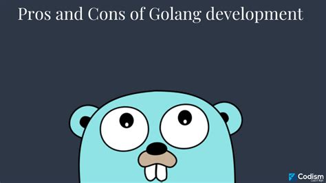 Pros And Cons Of Golang Development Codism