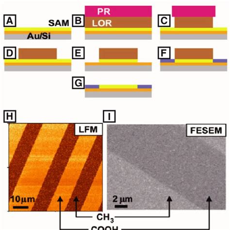 Step And Flash Nanoimprint Lithography Patterning Scheme A Drop Of Download Scientific