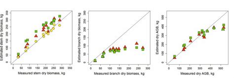Estimated Stem Biomass Left Branch Biomass Middle And Total Agb