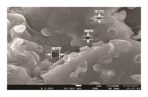 A Overview Of B3 From Sem Analysis B Pore Size Distribution Of B3 Download Scientific