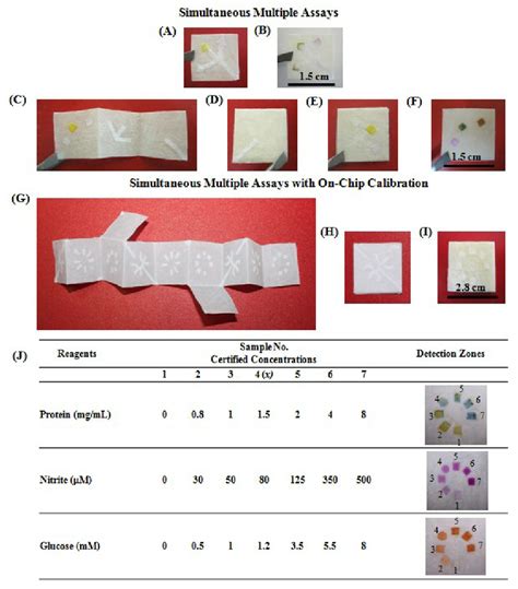 Photographs Of Multiple Detection Of Protein Nitrite And Glucose With Download Scientific