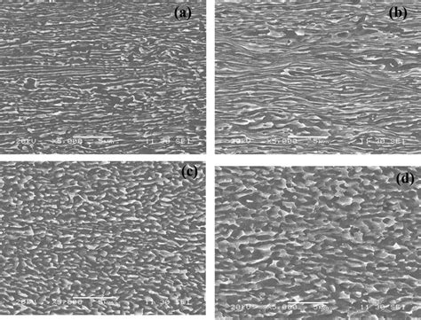 Microstructure Of The As Cold Rolled A B And As Annealed Alloy Download Scientific