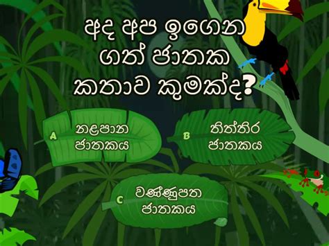 Select Correct Answer Quiz