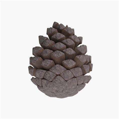 Pine Cone D Model Obj Free D