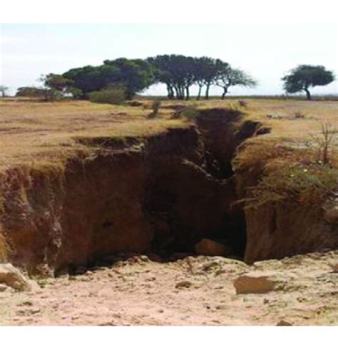 Typical Profile Of High Density Electrical Method In The Download Scientific Diagram