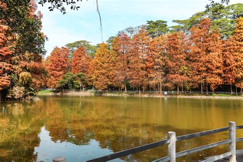 秋天公园摄影素材 秋天公园摄影模板 秋天公园摄影图片免费下载 设图网