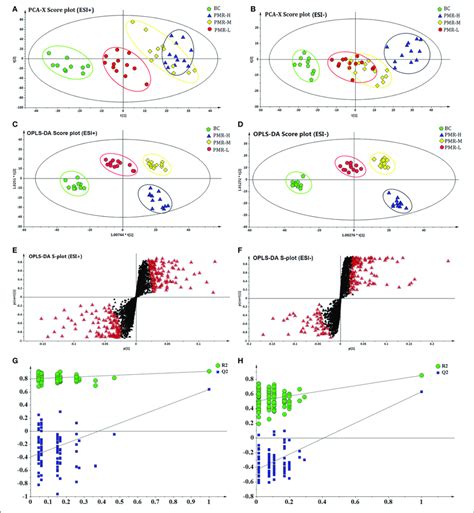 pca score plots and opls da score plots of different groups of pm in