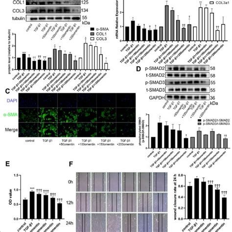 A Schematic Design Of The Microfluidic Device For Spheroid Formation