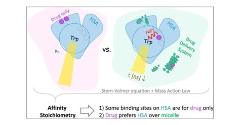 Transfer Of Ans Like Drugs From Micellar Drug Delivery Systems To Albumin Is Highly Favorable