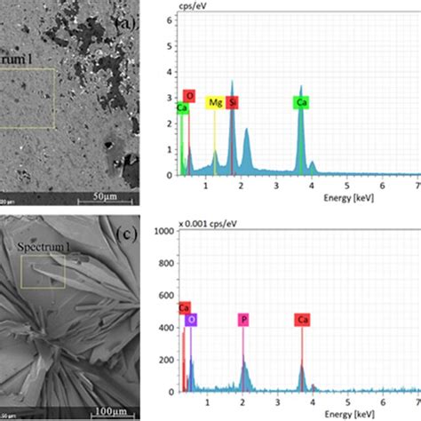 Sem Micrographs And The Corresponding Eds Spectra Of The Scaffolds Download Scientific Diagram