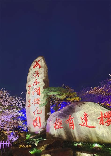 花开春光寻美景 樱园春色4 第3页 中关村在线摄影论坛