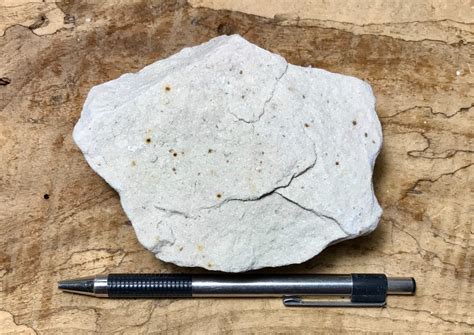 Sandstone Arkosic Fine Grained Miocene Teaching Hand Specimen