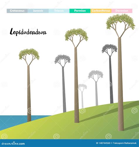 Lepidodendron Giant Plants Prehistori Vector Illustration 148744560