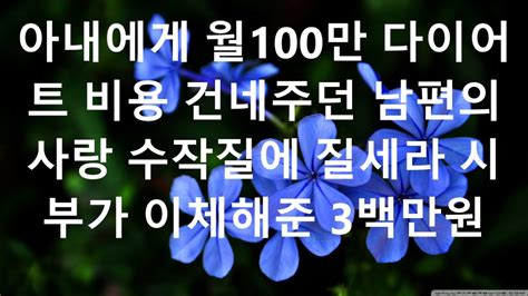 실화사연감동 아내에게 월100만 다이어트 비용 건네주던 남편의 사랑 수작질에 질세라 시부가 이체해준 3백만원 사연라디오