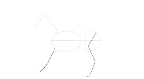 How To Draw A Unicorn Step By Step Envato Tuts