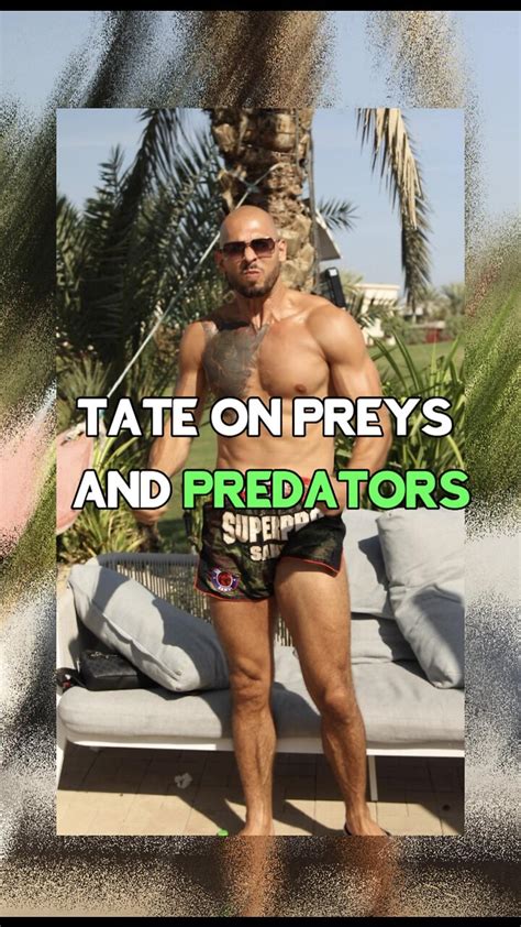 Tate On Preys And Predators One News Page Video