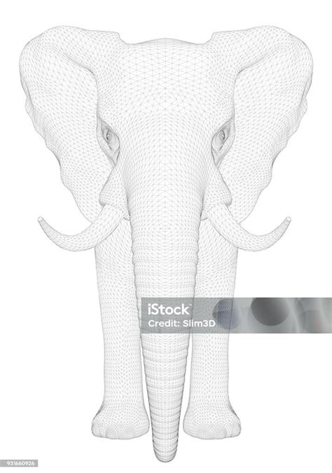 다각형 3d 코끼리 와이어 프레임 모델에 대한 스톡 벡터 아트 및 기타 이미지 와이어 프레임 모델 코끼리 3차원 형태 Istock