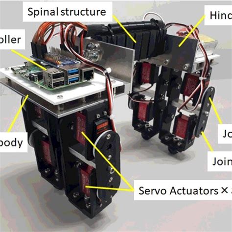 Quadruped Locomotion Robot With A Spinal Structure Download