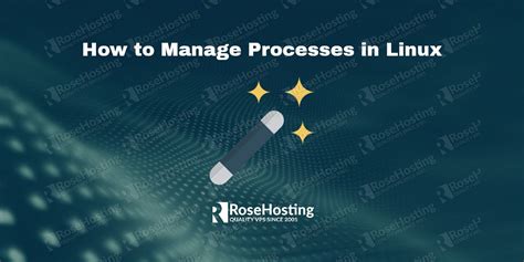 how to manage processes in linux rosehosting