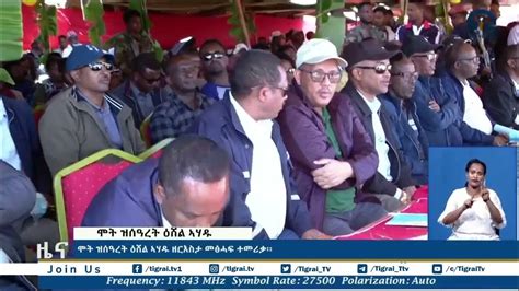 ሞት ዝሰዓረት ዕሸል ኣሃዱ ዘርእስታ መፅሓፍ ተመሪቃ፡፡ Youtube