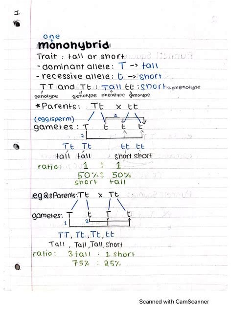Igcse Extended Biology Notes Inheritance Pdf