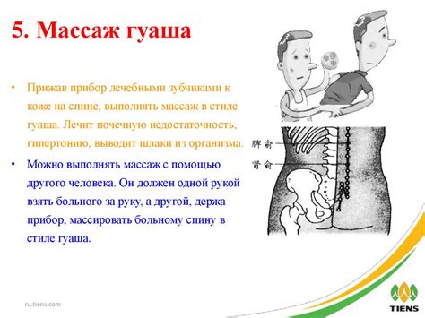 Массажер S-780 (СЦЭК – стимулятор циркуляции энергии и крови ...