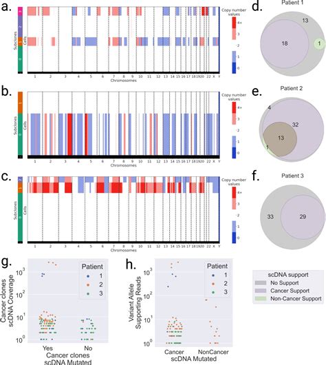 Figure 3 From De Novo Detection Of Somatic Variants In Long Read 1 Single Cell Rna Sequencing