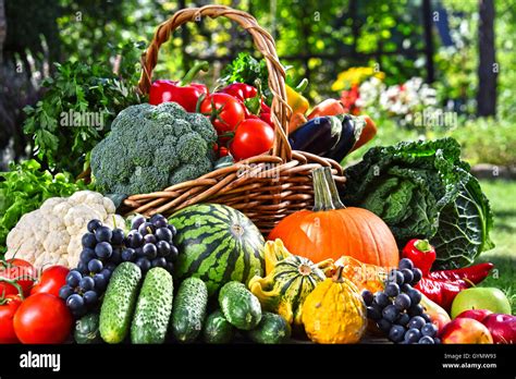 Variety Of Fresh Organic Vegetables And Fruits In The Garden Balanced