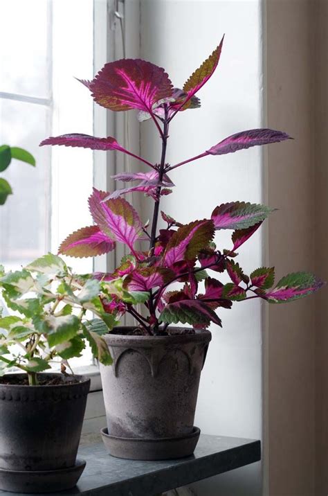 How To Compare Two Excel Files Or Sheets For Differences Artofit