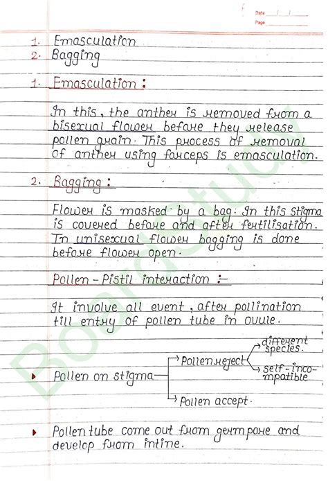 Ncert Class 12 Biology Sexual Reproduction In Flowering Plants Notes Handwritten Notes And Pdf