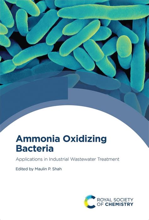 Ammonia Oxidizing Bacteria Ebook 9781837671977 Boeken Bol