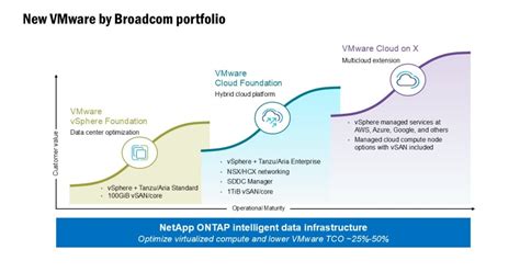 Optimize Your Vmware Environment With New Capabilities Netapp Blog