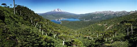 40 Stunning Chile Pictures Landscapes Wildlife And Culture