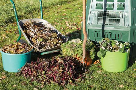 Compost Creating Fertile Soil Revista Landuum