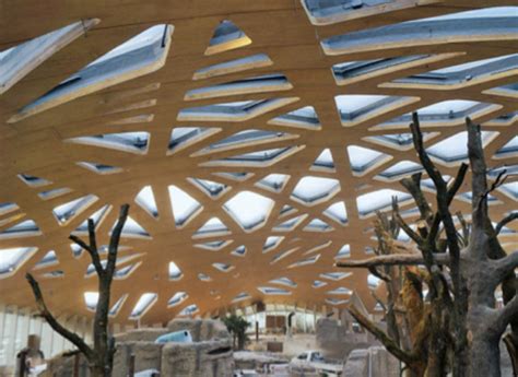 Analysing 6 Examples Of Timber Gridshell Structures Iaac Blog