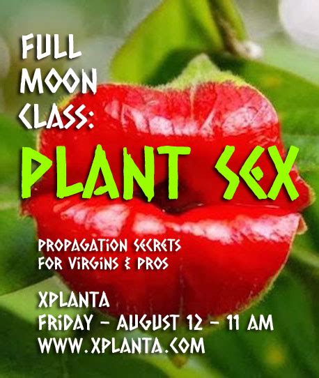 CLASS PLANT SEX XPLANTA