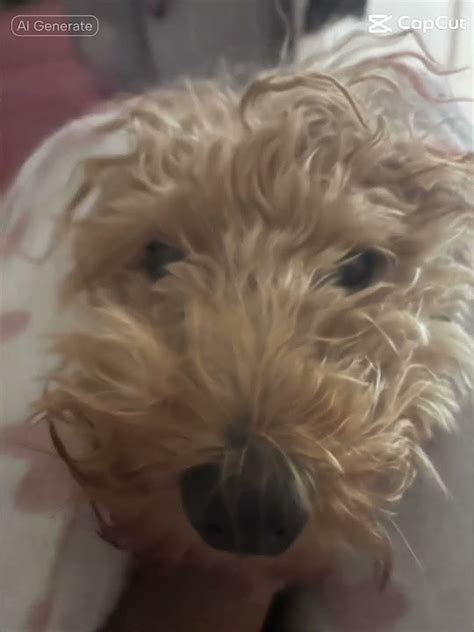 Speaking Chinese ☺️🎀 Youtube