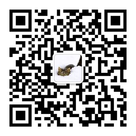 简介 Acorn 企业免费建站主题