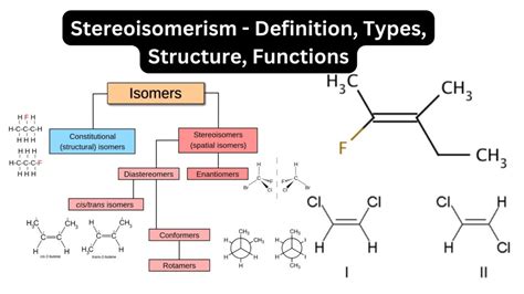 Disaccharides Definition Classification Functions Examples