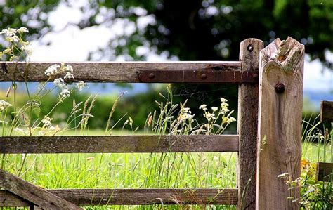 10 Rules Everyone Should Follow Foraging Code Britishlocalfood