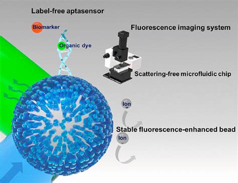 Fluorescence Enhanced Microfluidic Biosensor Platform Based On Magnetic