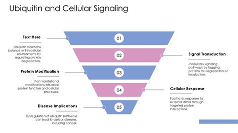 Ubiquitin And Cellular Signaling Ppt Structure Acp Ppt Sample