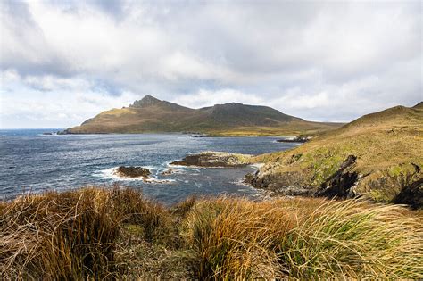 Cape Horn Cape Horn National Park Cape License Image 70514695