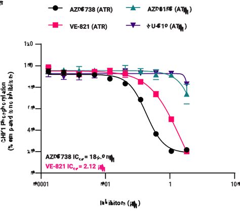 Parp And Ddr Pathway Drug Discovery