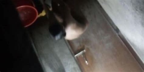 Gazipur Ar Meyar Gosol Tnaflix Com