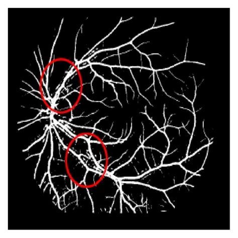 Segment Results A Original Image B Manual Segment C Proposed