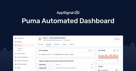 Puma Automated Dashboard Appsignal Apm